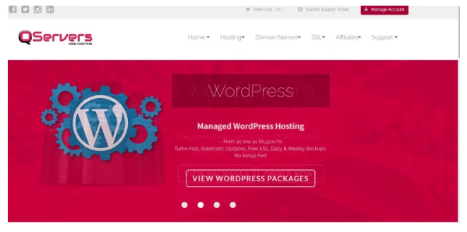Qservers Review: Nigeria's Best Rated Web Host (Qservers)